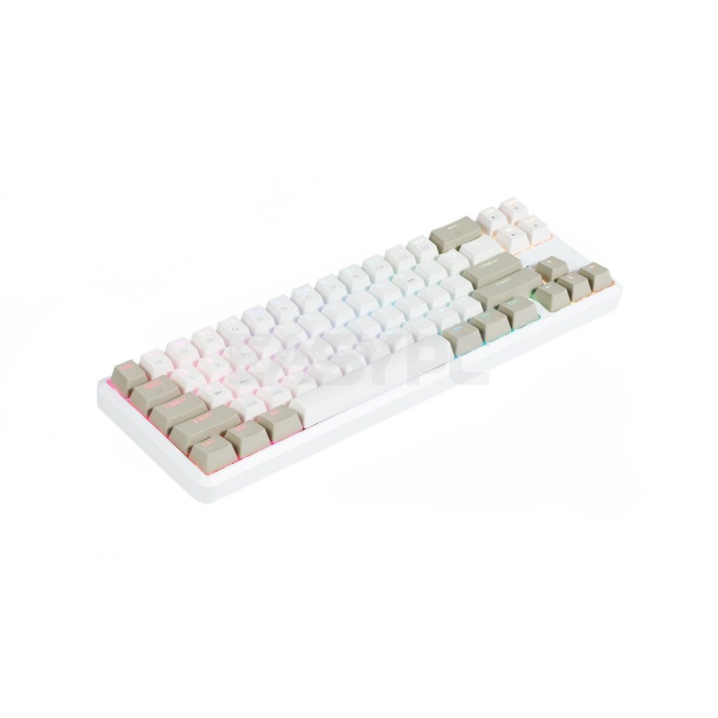 RAKK Pluma and Trimode 68 Keys RGB White and Black Wireless Bluetooth 5 ...