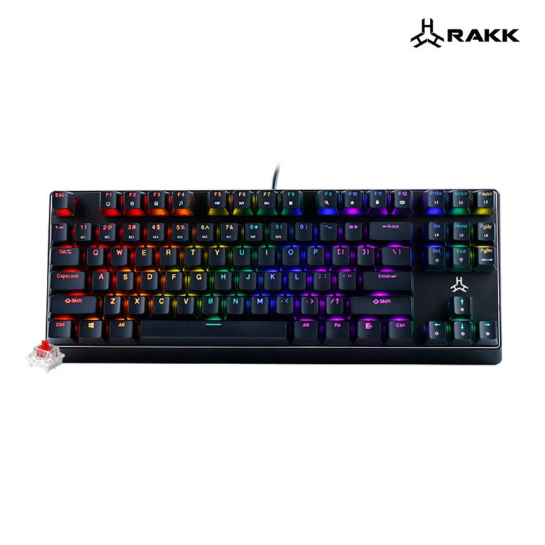 RAKK TANDUS V2 87 Keys Wired Gaming Keyboard/Seamless Doubleshot ...