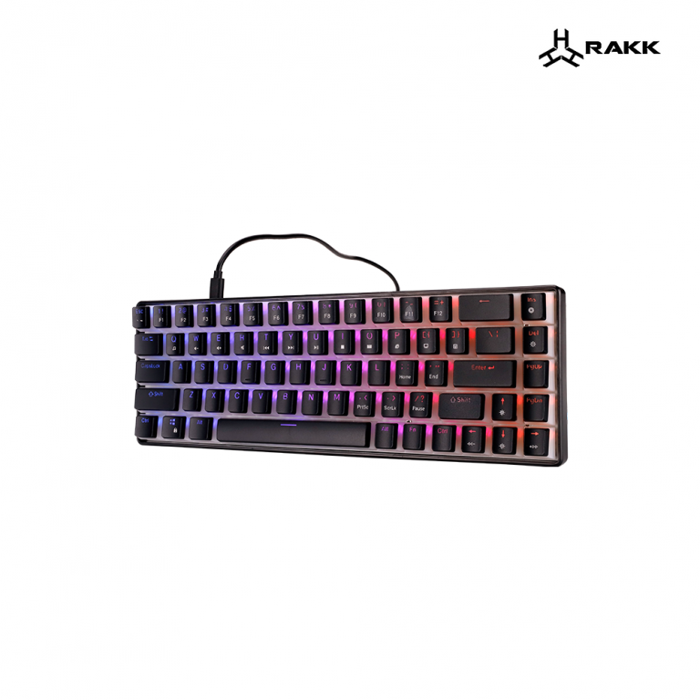 Keyboards Archives - Rakk